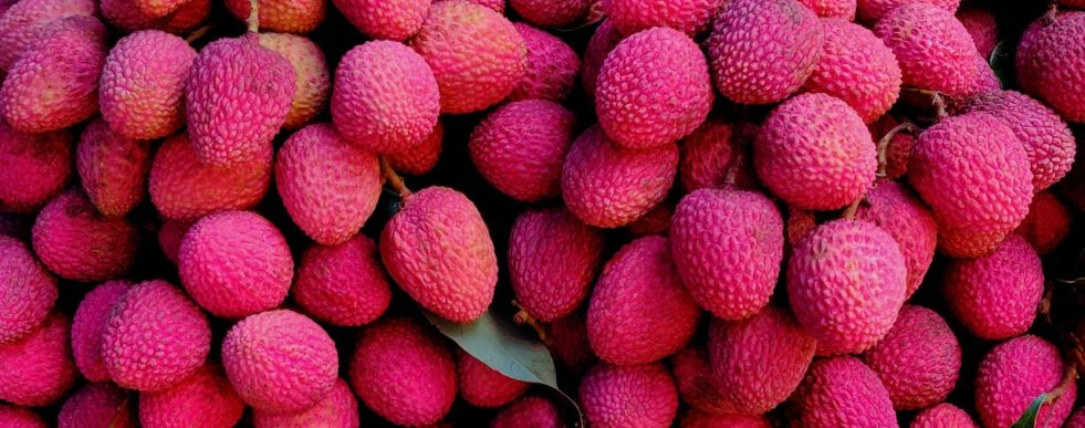Les Fruits de La Réunion : la richesse exotique de l'île intense